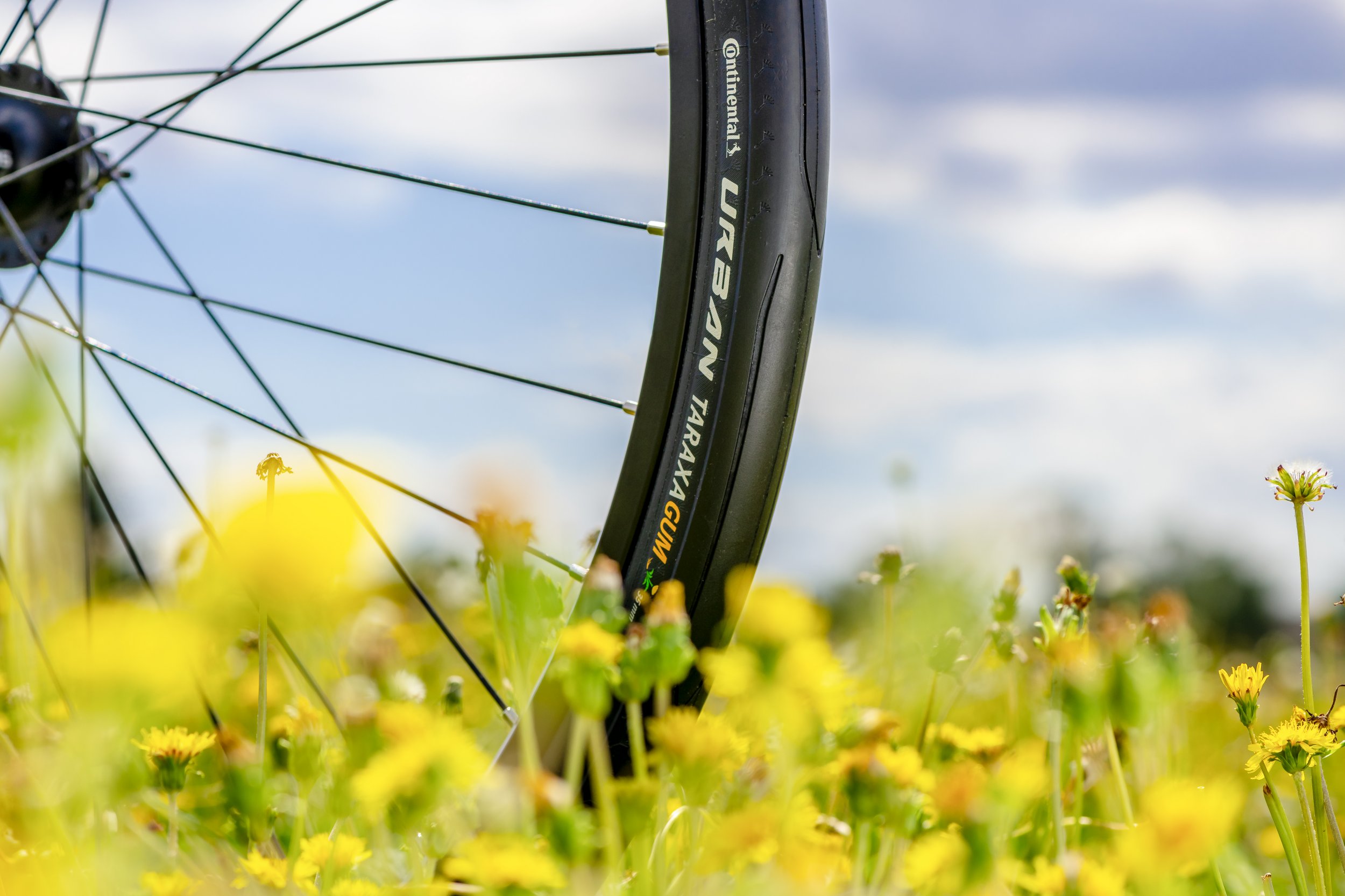 Truck & Bus | Continental tyres